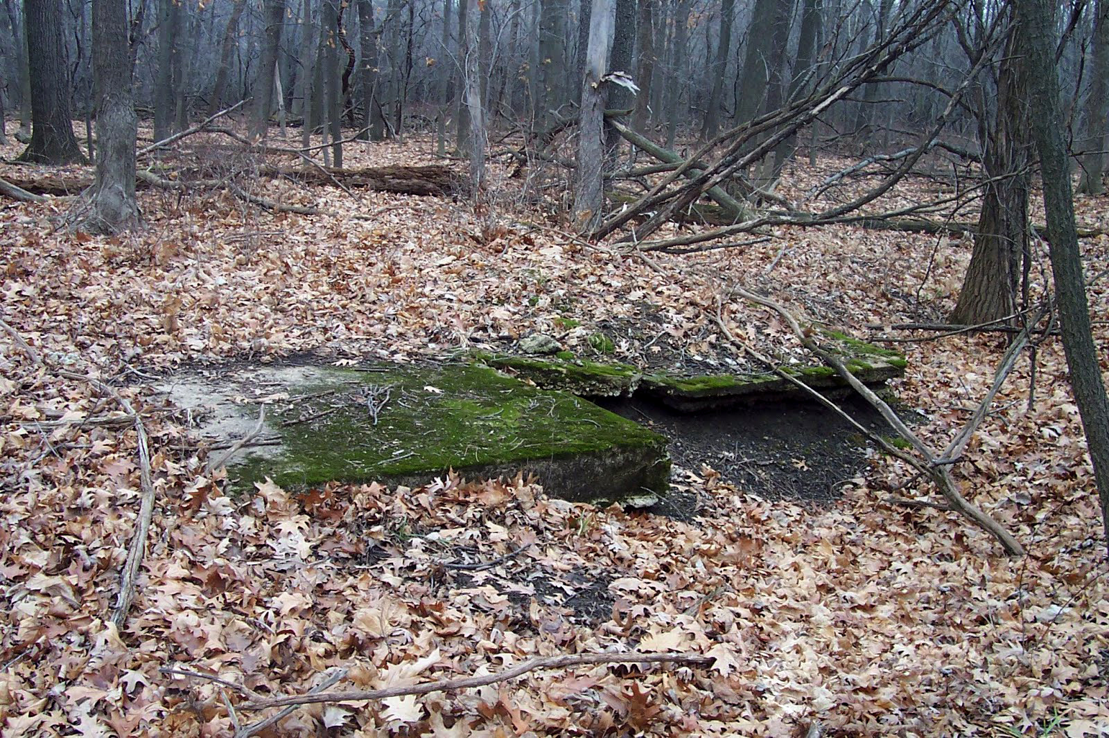 The Digital Research Library of Illinois History Journal™ : Camp Pine ...