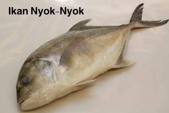 Beautiful Lie in a Beautiful Life: Ikan Nyok Nyok