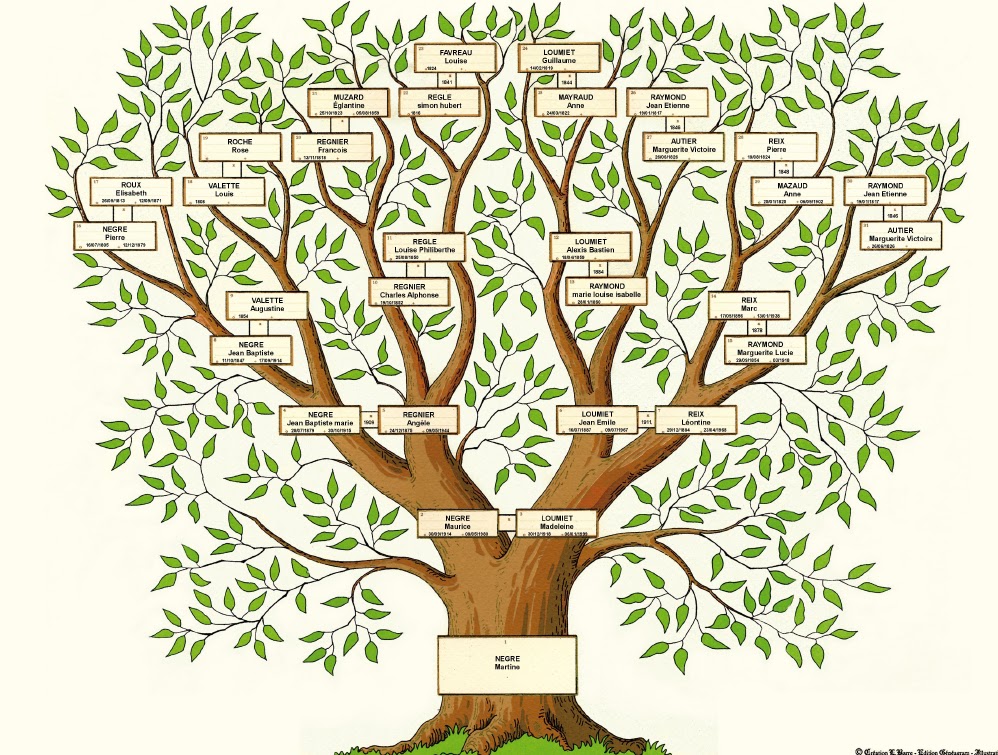 CHRONIQUE FAMILIALE: mon arbre