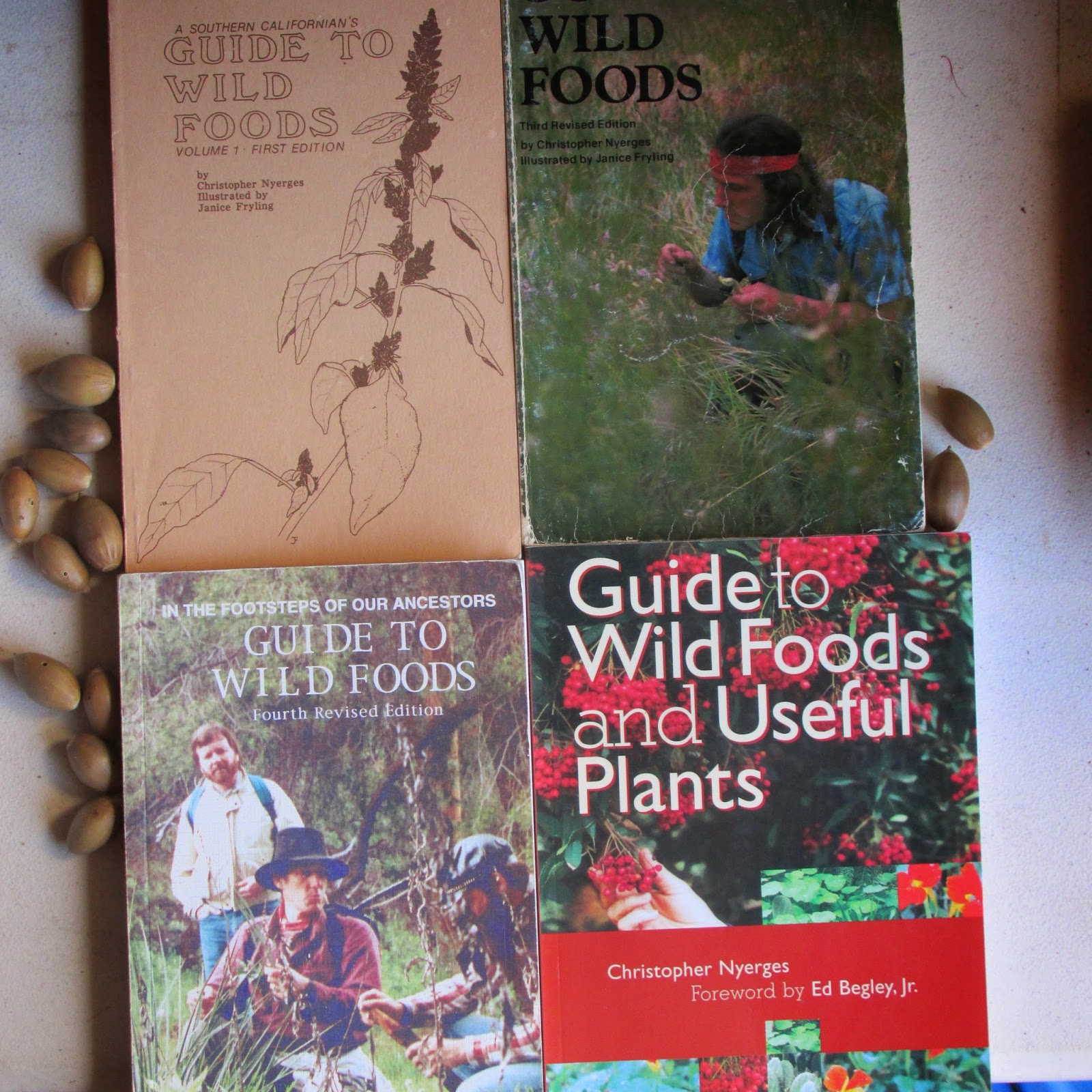 Voice In The Wilderness: "Guide to Wild Foods and Useful Plants"