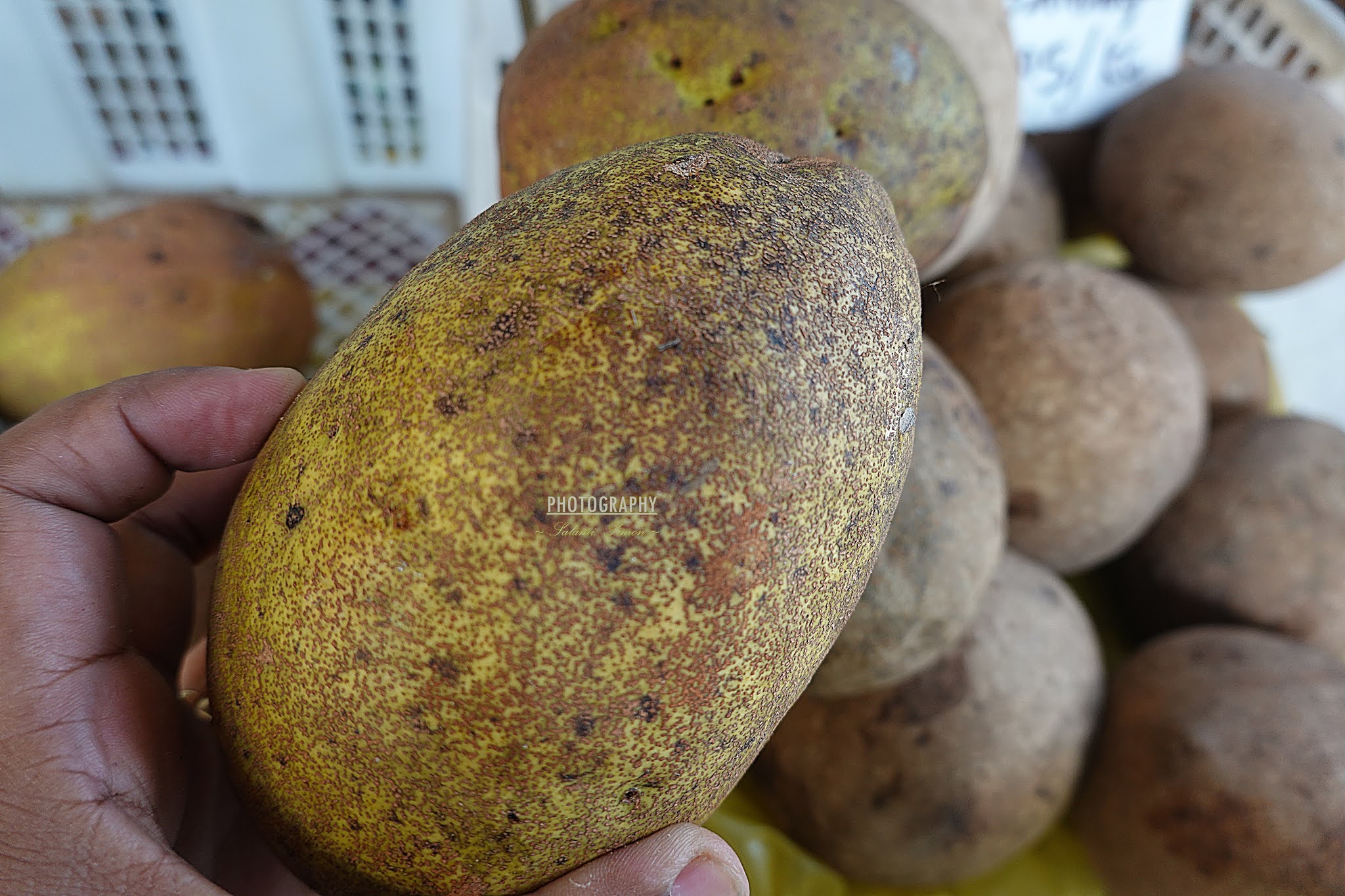 Buah Bundu @ Belunu @ Binjai, Bambangan & Durian Merah - Amie's Little ...