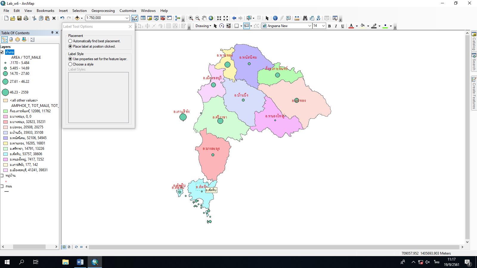การสร้าง Label และ Annotation ในโปรแกรม Arcmap