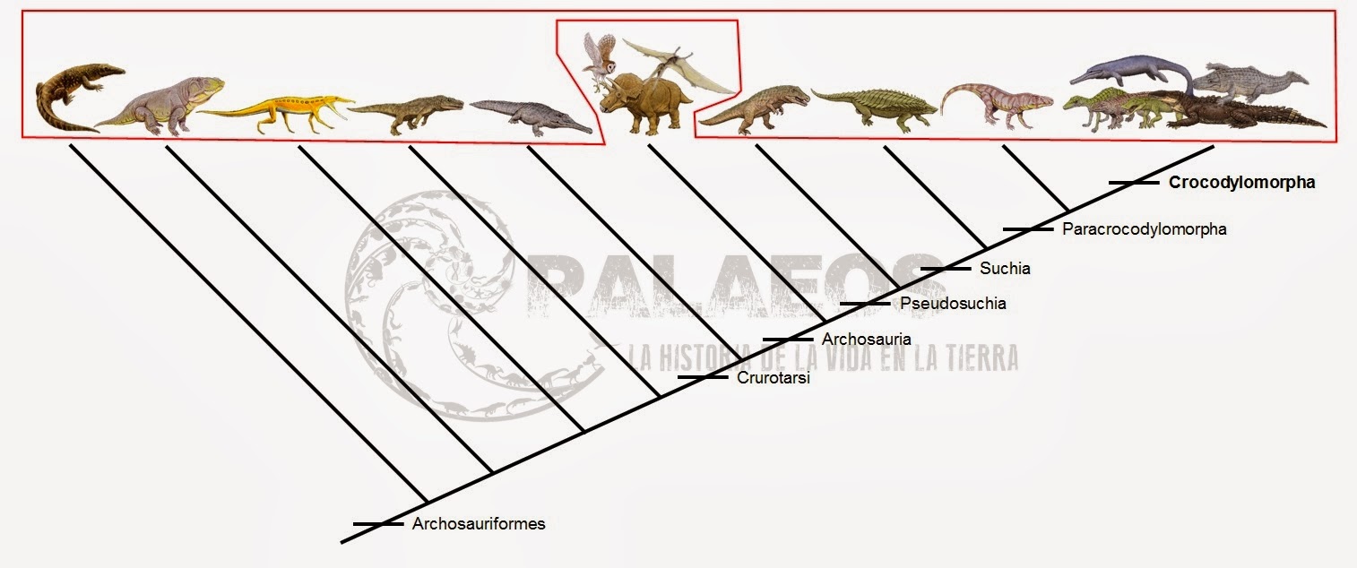 Palaeos, la historia de la Vida en la Tierra: Notas cortas: Historia ...