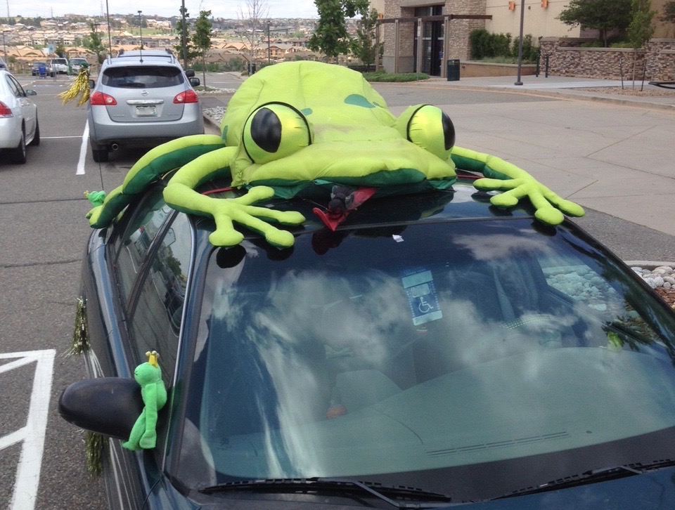 Frog Car