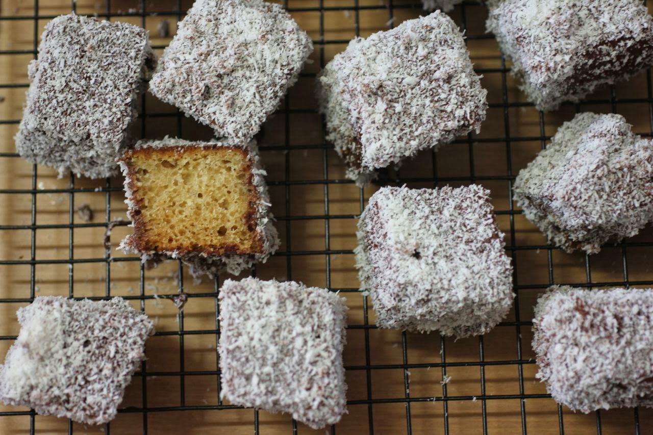 Green Gourmet Giraffe: Vegan lamingtons and Mother and Son