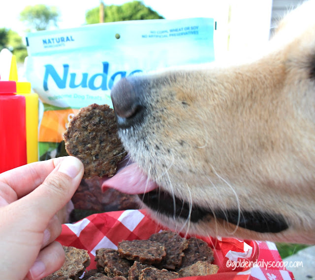 Show Your Dog Love with Nudges and a Barbecue #NudgeThemBack #ad