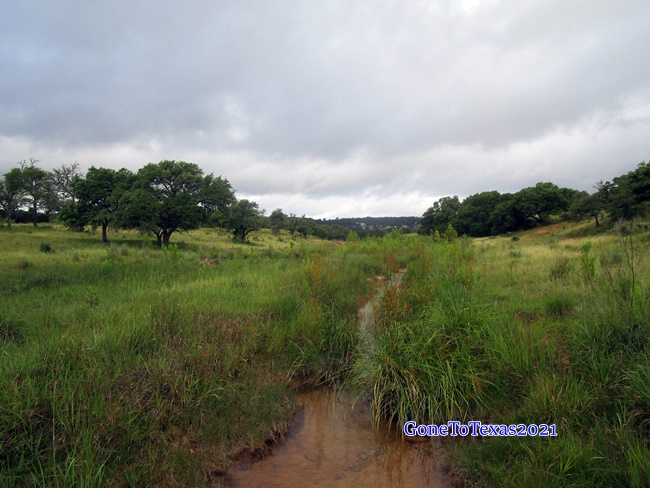 Gone To Texas: Heinrich Karl Hasse and Family