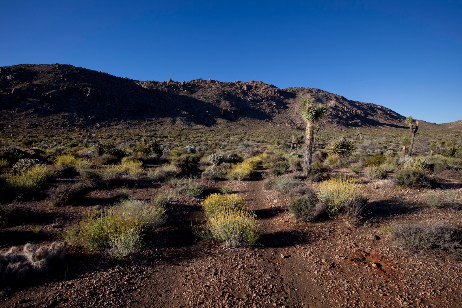 Spare Parts and Pics: Wonderland Overlook