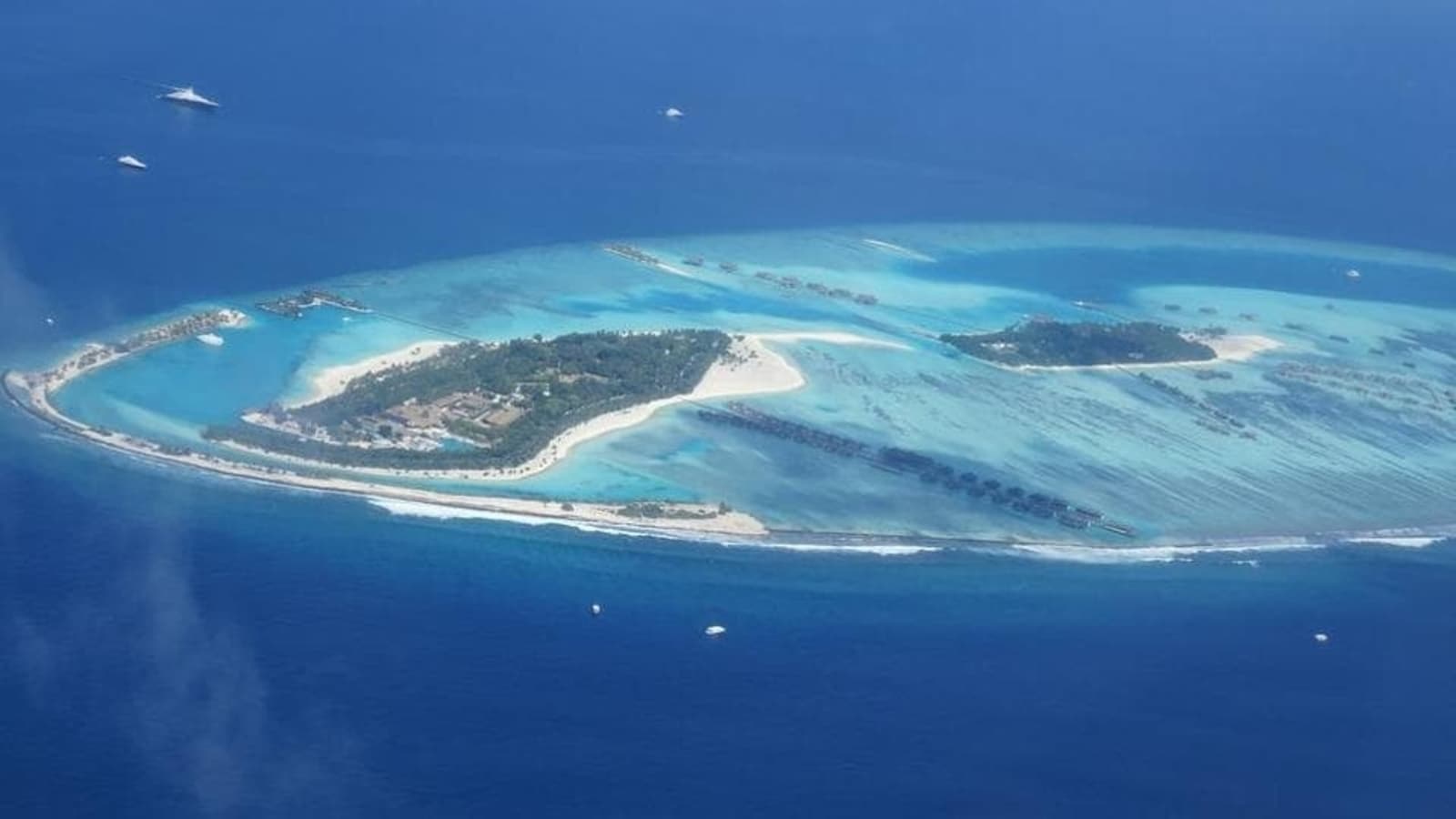 Más que dinosaurios: la fauna del Mar de Tethys