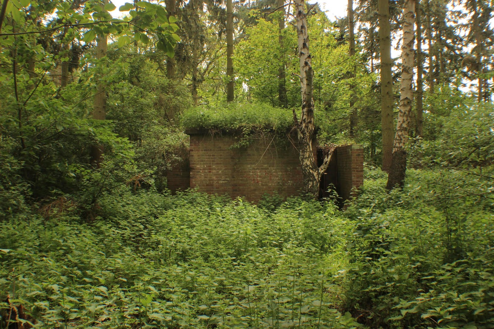 Shrewsbury from where you are not: Atcham Airfield
