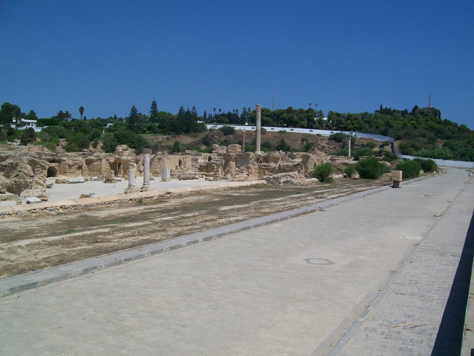 Stage en Tunisie de mars à septembre 2012: Carthage
