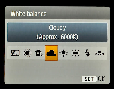 Understanding White Balance Setting On Your Digital Camera