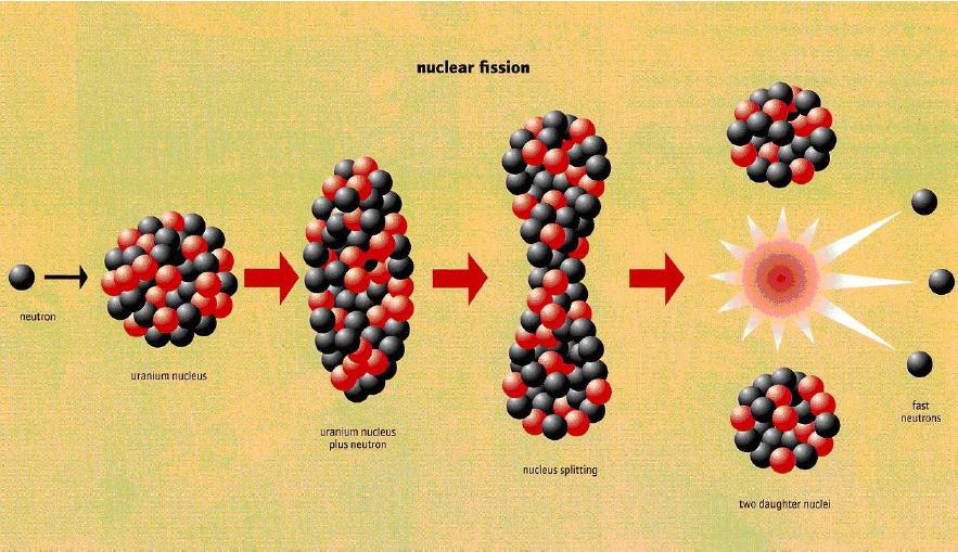 Fisica Nuclear. Una breve introduccion (Primera parte)