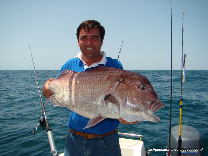 De pesca por Huelva y otros rincones del mundo.: El vídeo del pargo 12,5 kg