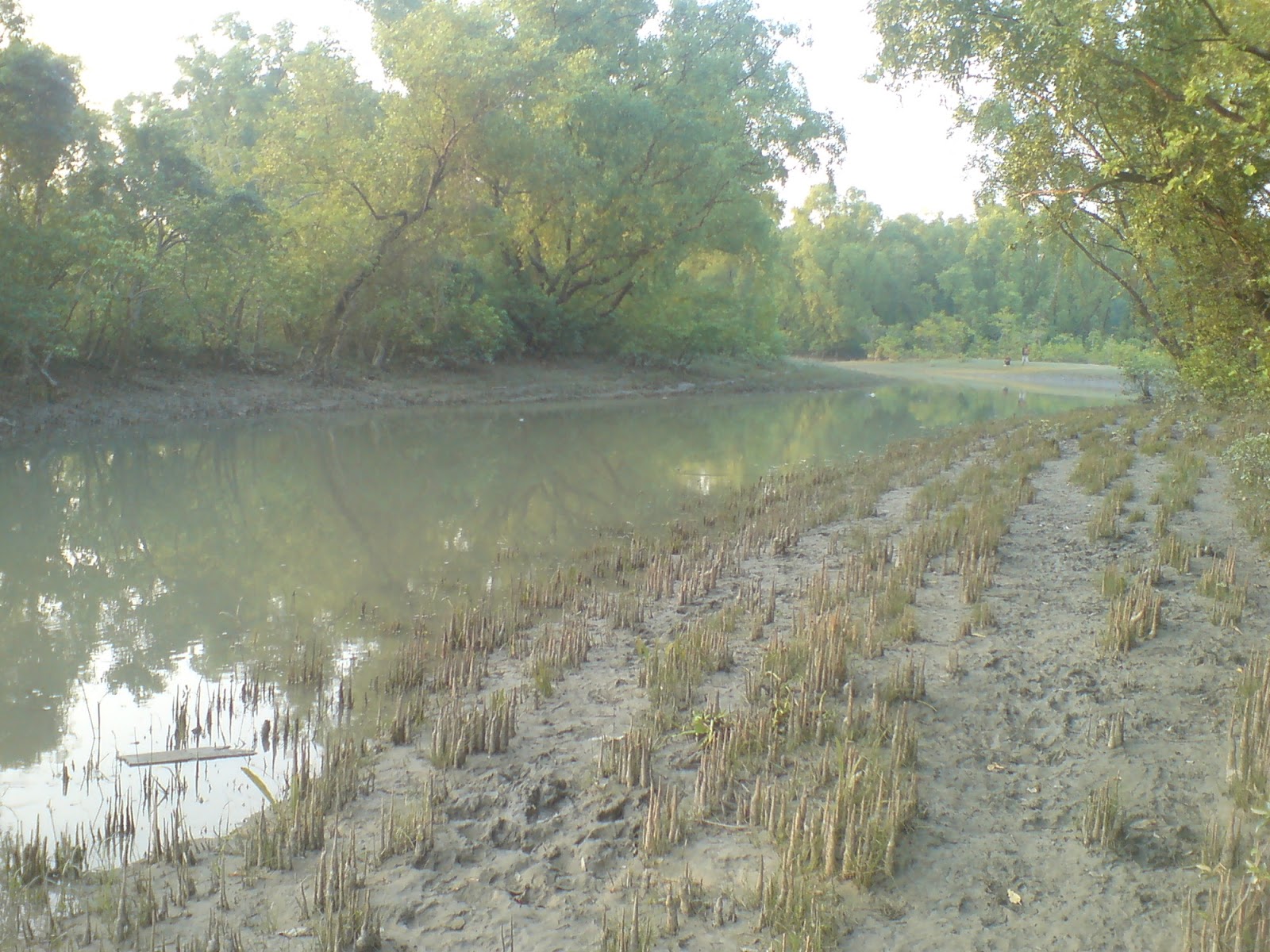 AMAZING BANGLADESH: NIJHUM DIP