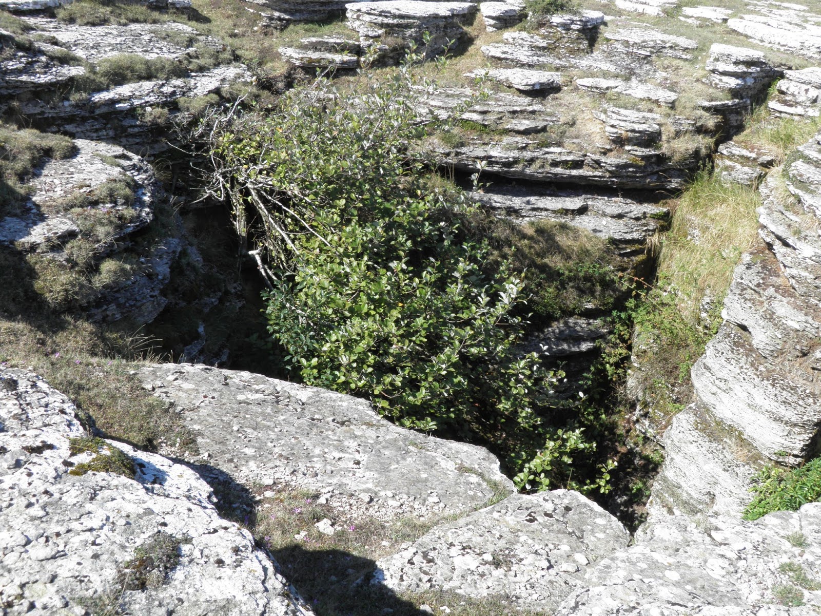 LAUKOAK: (20200826) Visitando simas en la Sierra de Andía desde el ...