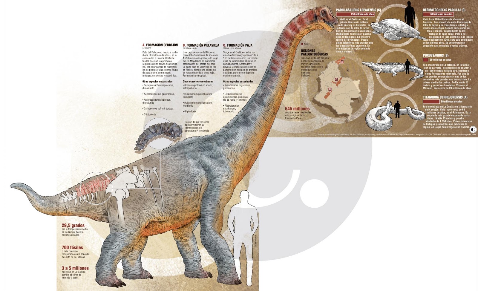 Paleontología en Colombia: Padillasaurus leivaensis, un nuevo saurópodo ...