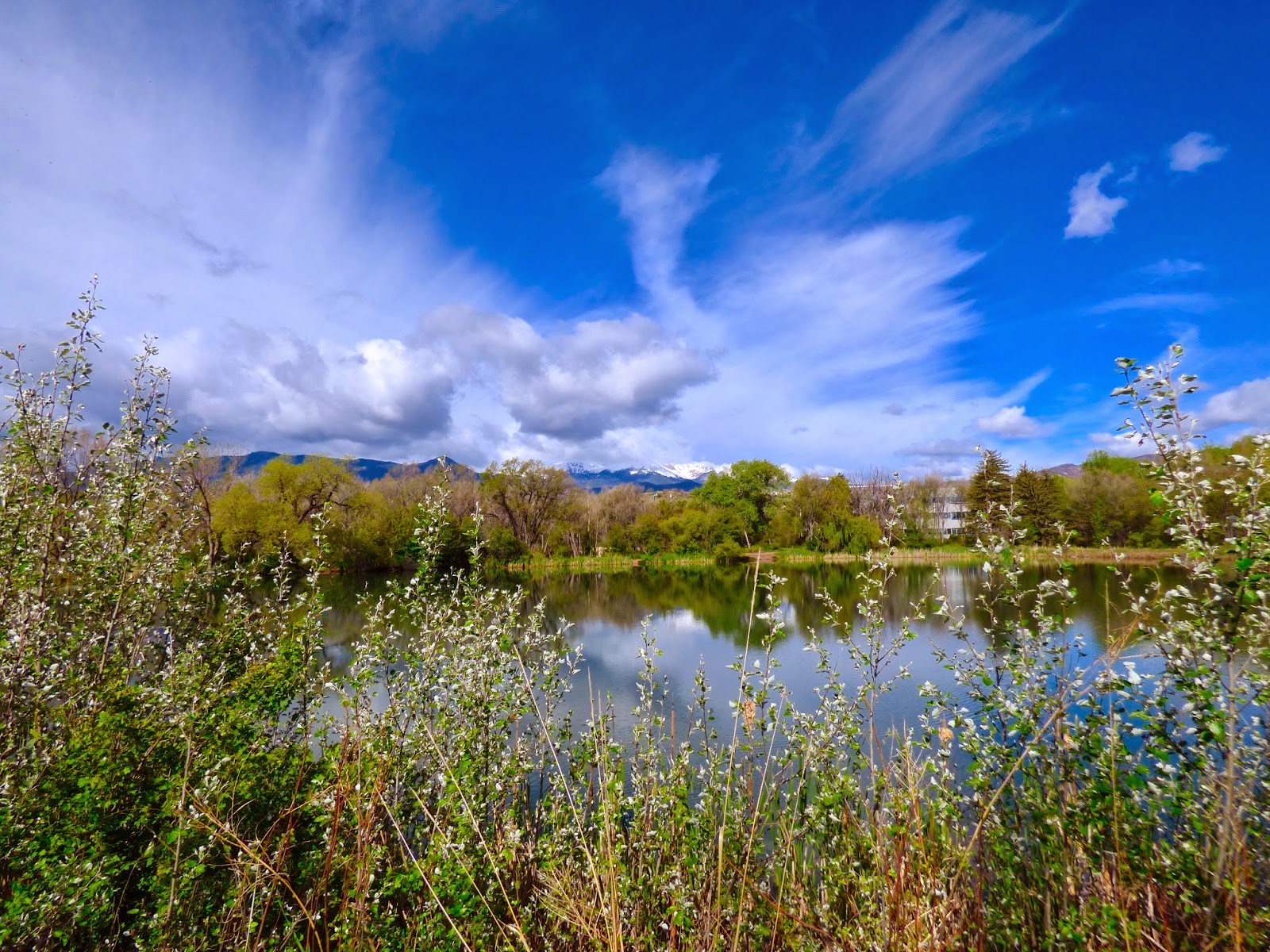 Otowi: Sinton Pond and Sonderman Park 5/25/15