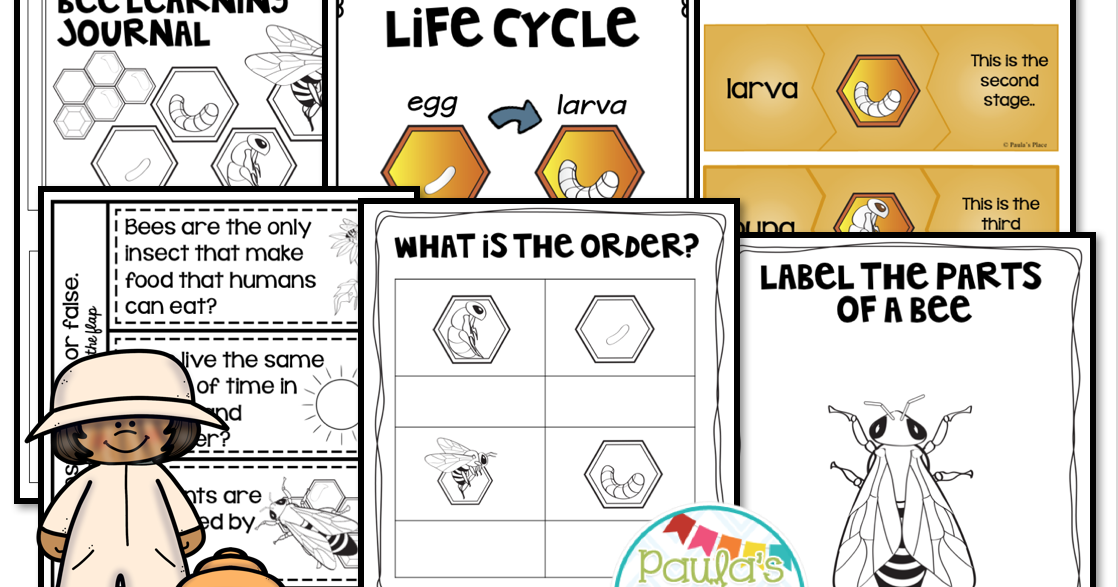 Paula's Place Teaching Resources: Life Cycles - Bees