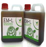 EM-1: What is EM?