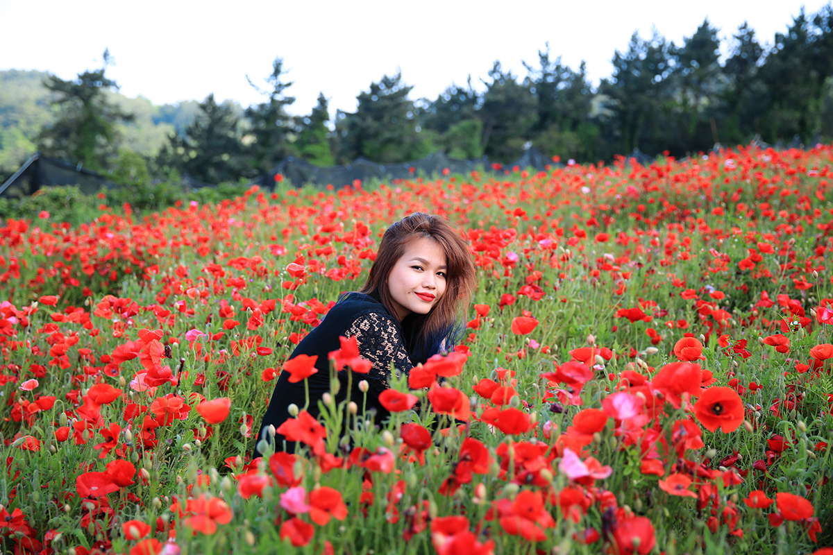 Pop.py - Theheyheyhey