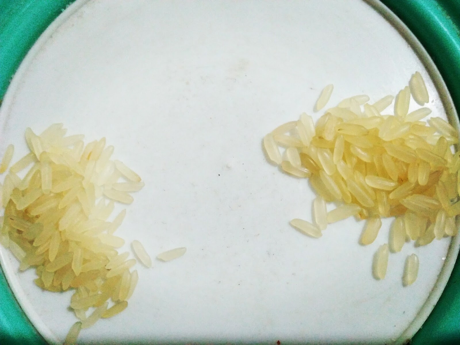 The Lifelong Learner: Arwa Chawal and Usna Chawal