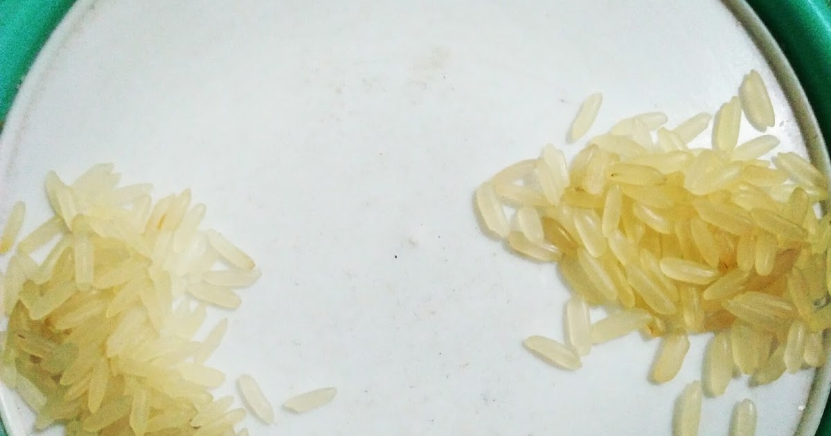 The Lifelong Learner: Arwa Chawal and Usna Chawal