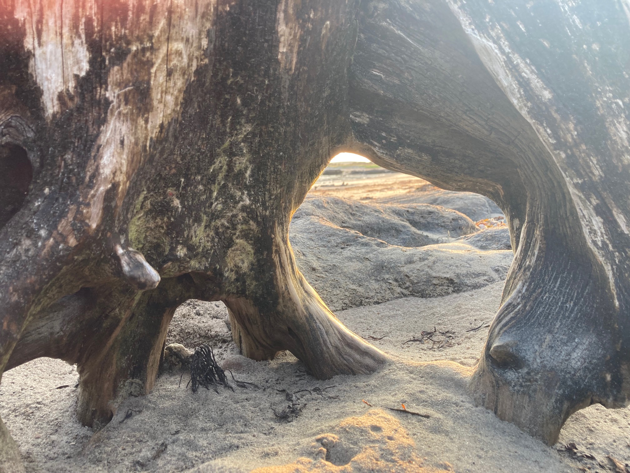 Bogs, Beaches and History, a Mini Tour of Mayo - Purity Belle ...