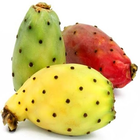 Tuna Fruta | Beneficios, Propiedades y Nutrientes | actualidad-24.com