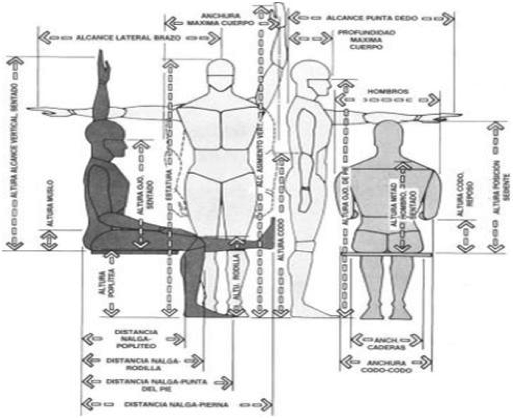 PROYECTO ERGONOMIA: ANTROPOMETRÍA DINÁMICA