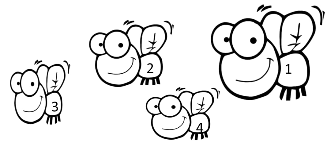 GUGÚ Y SUS AMIGOS: DÍA 11: POESÍA LA MOSCA Y EL MOSQUITO