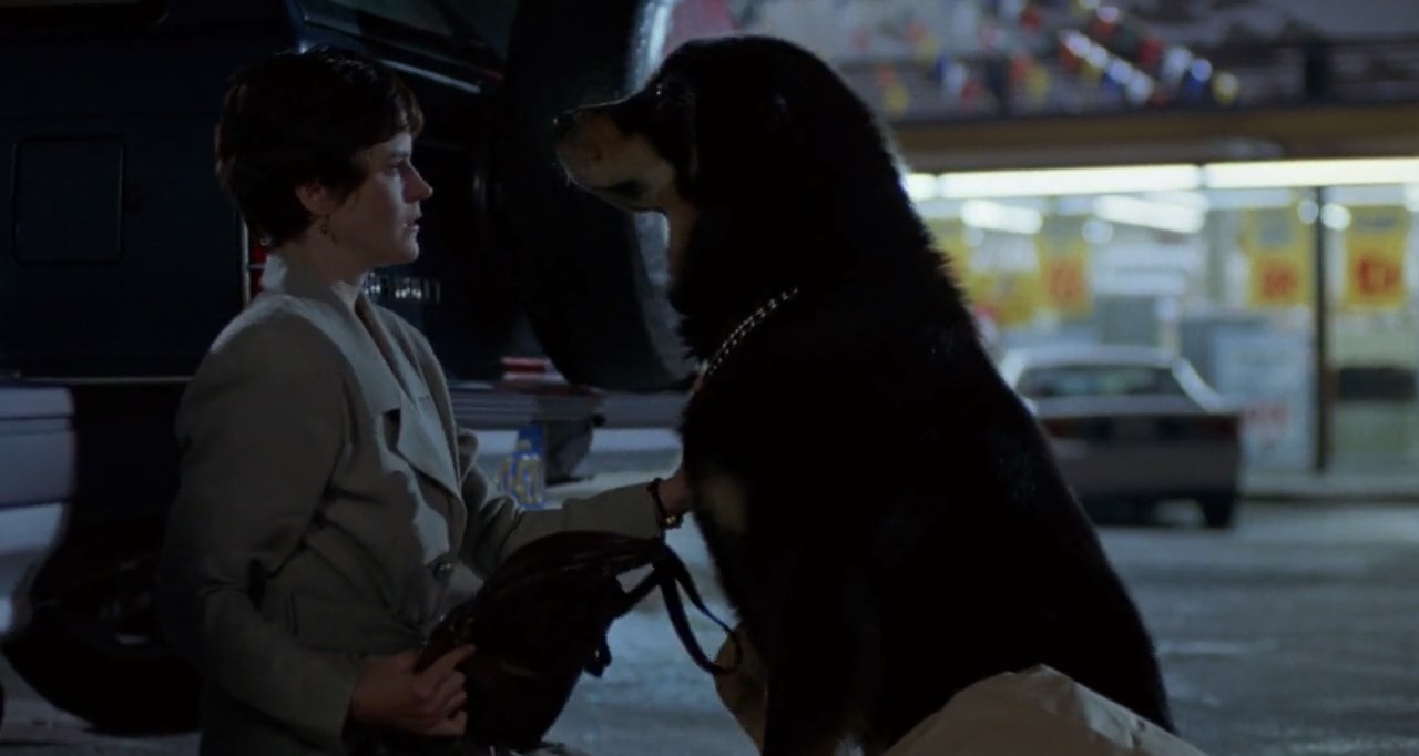 BliZZarraDas: Man's Best Friend (1993)