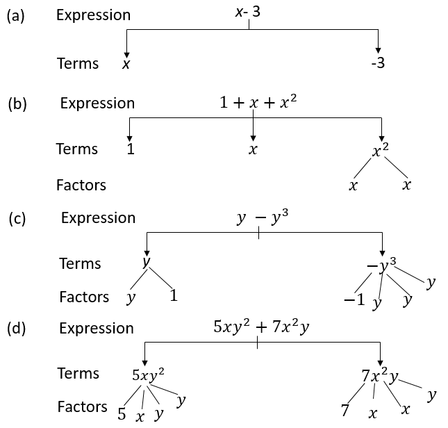 NCERT Solutions for Class 7 Maths Chapter 12 Algebraic Expressions