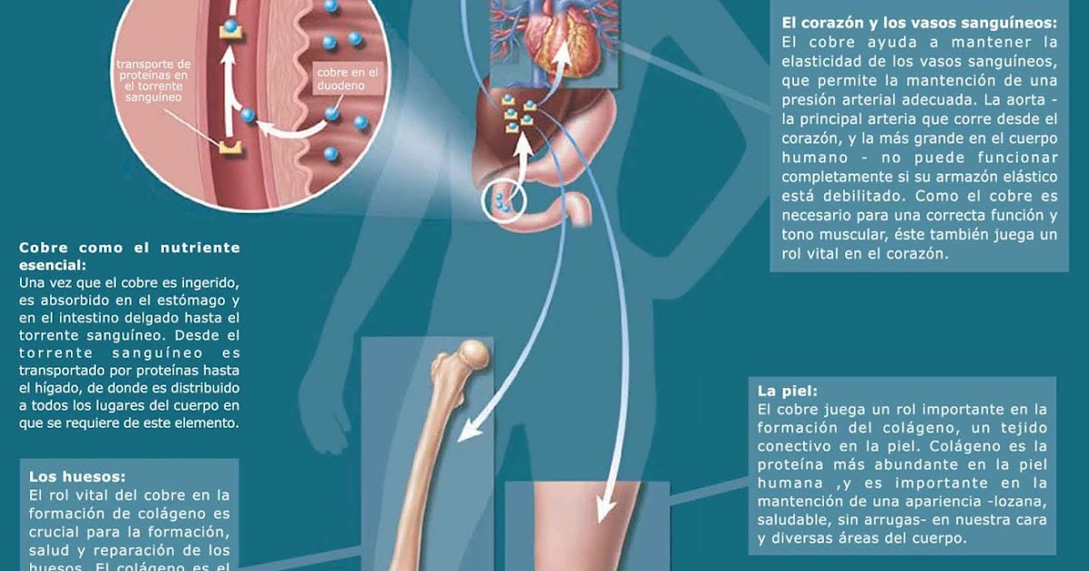 Propiedades del Cobre y alimentos que la contienen. Propiedades del Cobre y alimentos que la contienen.