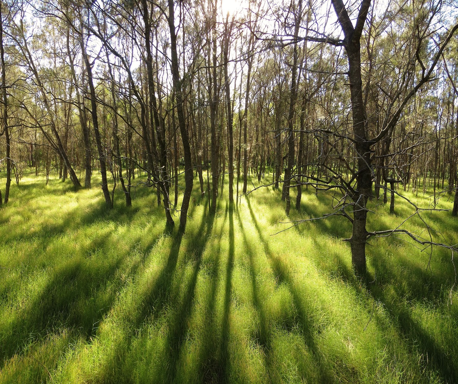 Suburb Guide: Boondall