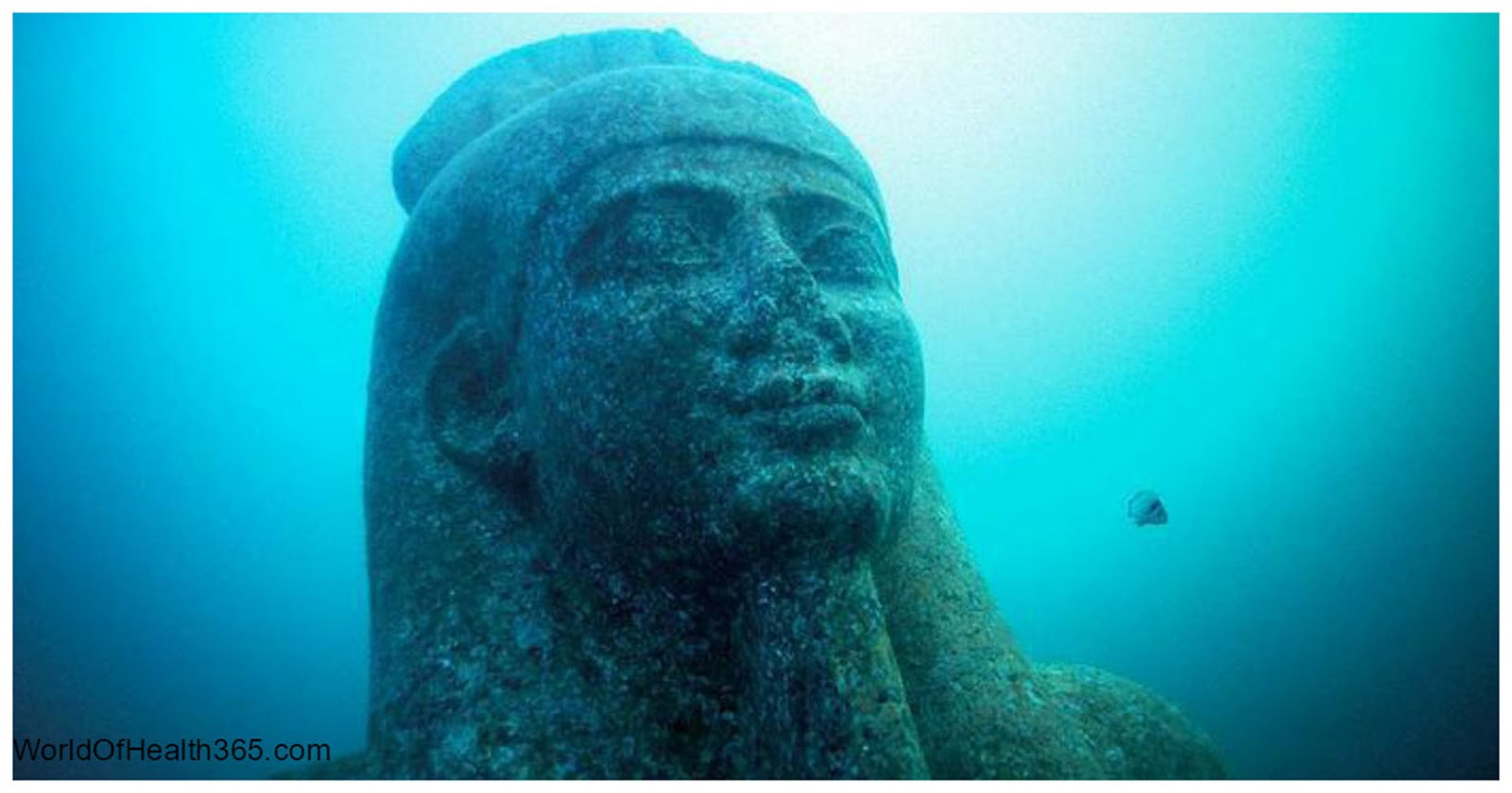 WHAT SCIENTIST JUST FOUND DEEP IN THE OCEAN IS SERIOUSLY UNBELIEVABLE ...