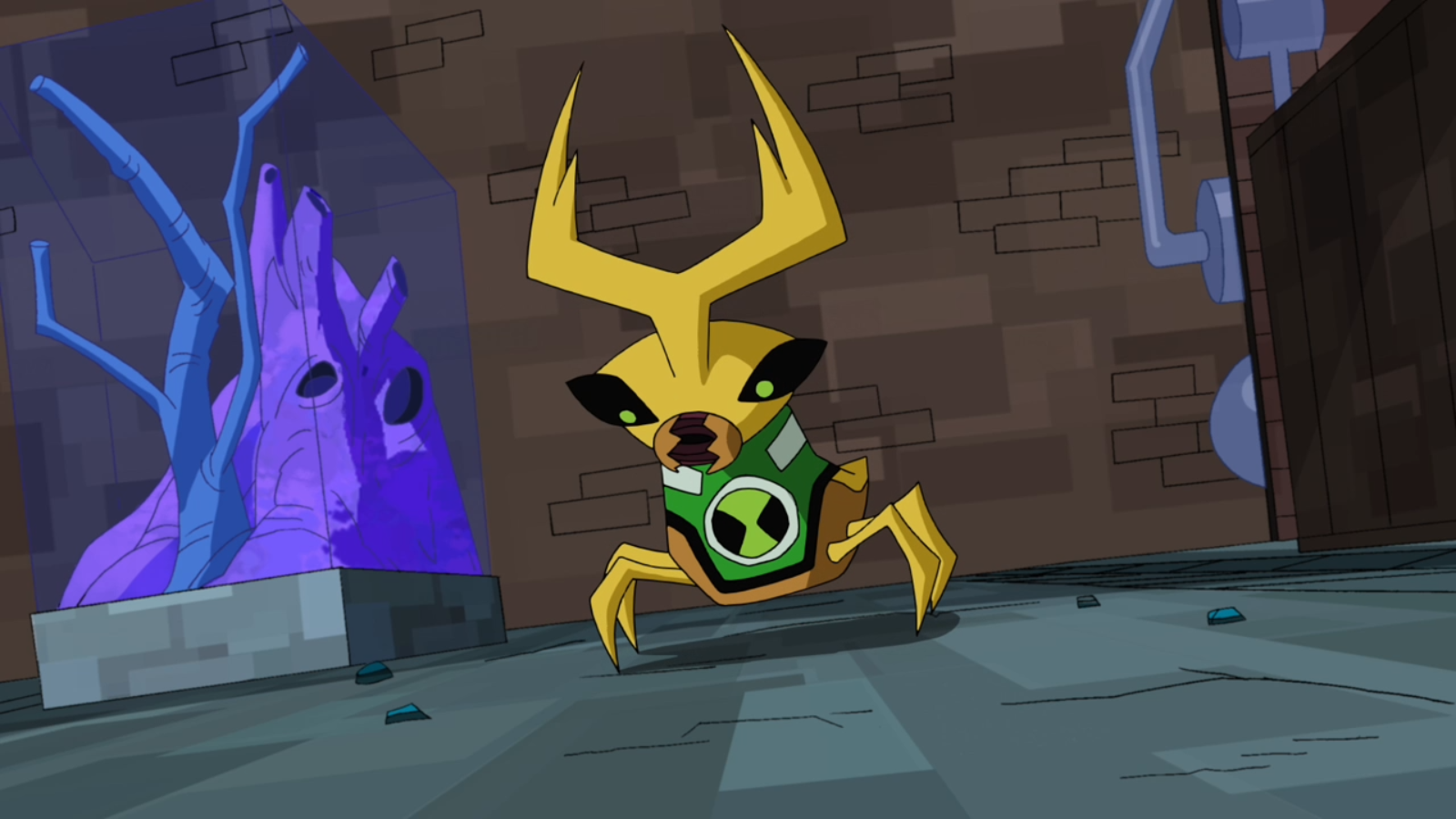 Dried Mango: Ball Weevil