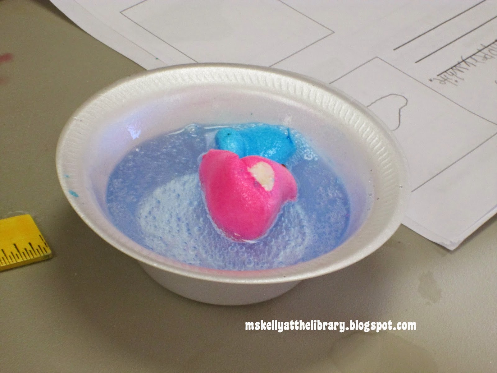 Ms. Kelly at the Library: ATLAS: Marshmallow Peep Science