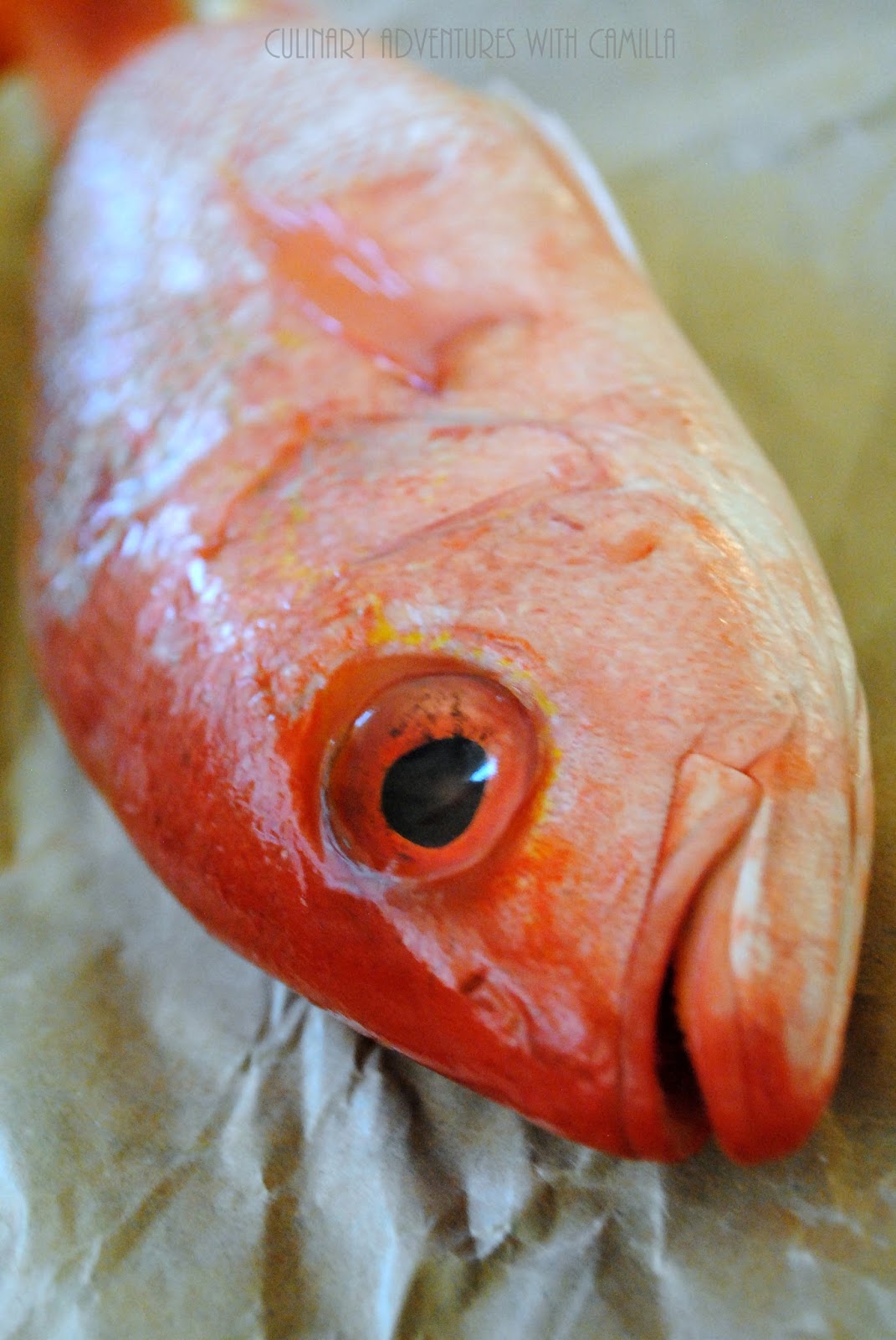 Truffles, a Whole Fish, & Barolo #ItalianFWT