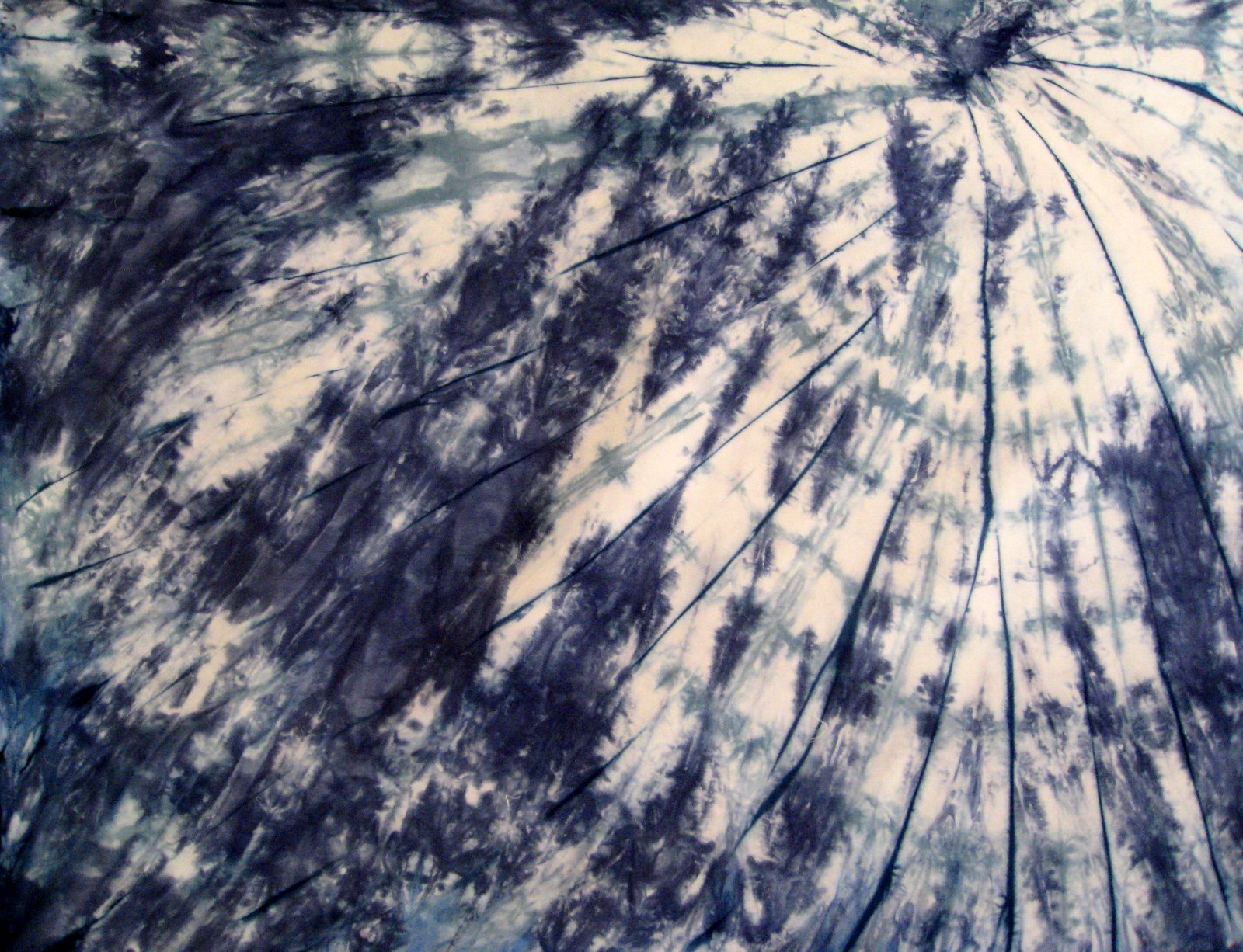 Dyeing - 2nd layer - Lesley Turner