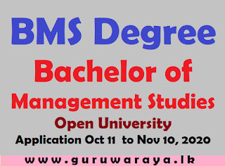 BMS Degree (Bachelor of Management Studies) : Open University - Teacher