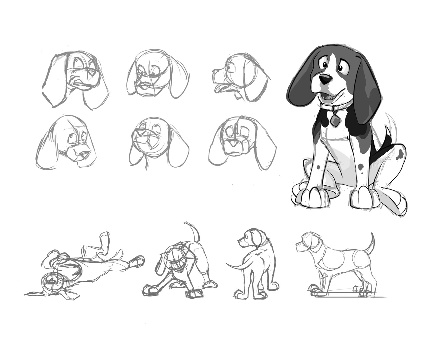 Jennifer Fenton's Blog: Beagle model sheet