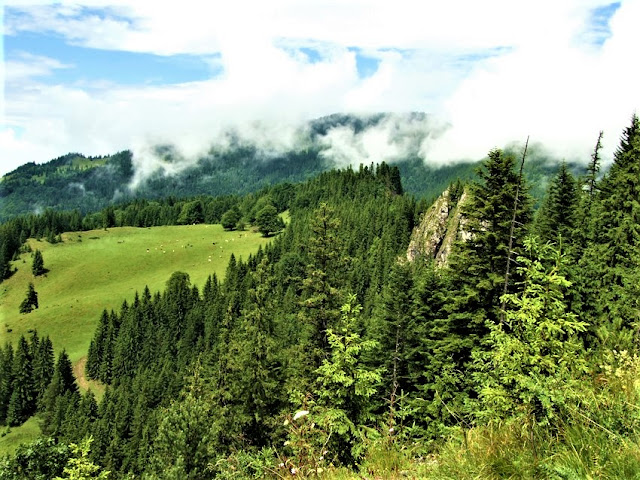 Traseu 11: Toplita - Tulghes - Ditrau (prin pasul Tengheler) - Parc ...