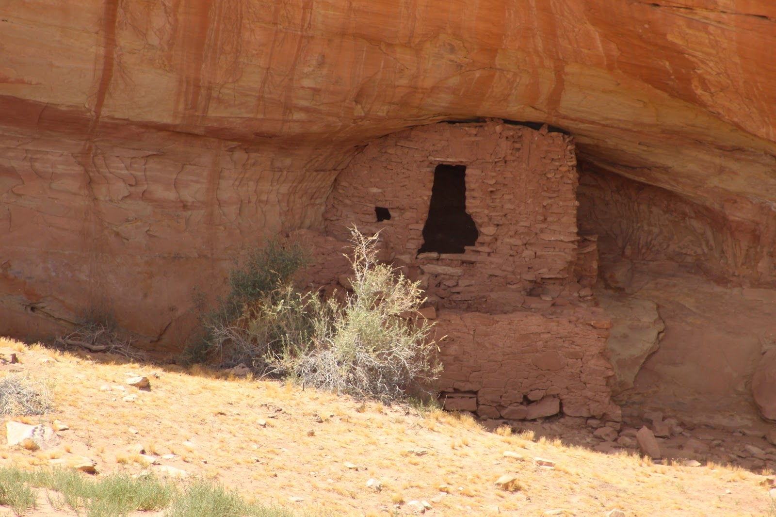 gjhikes.com: Wolfman Panel