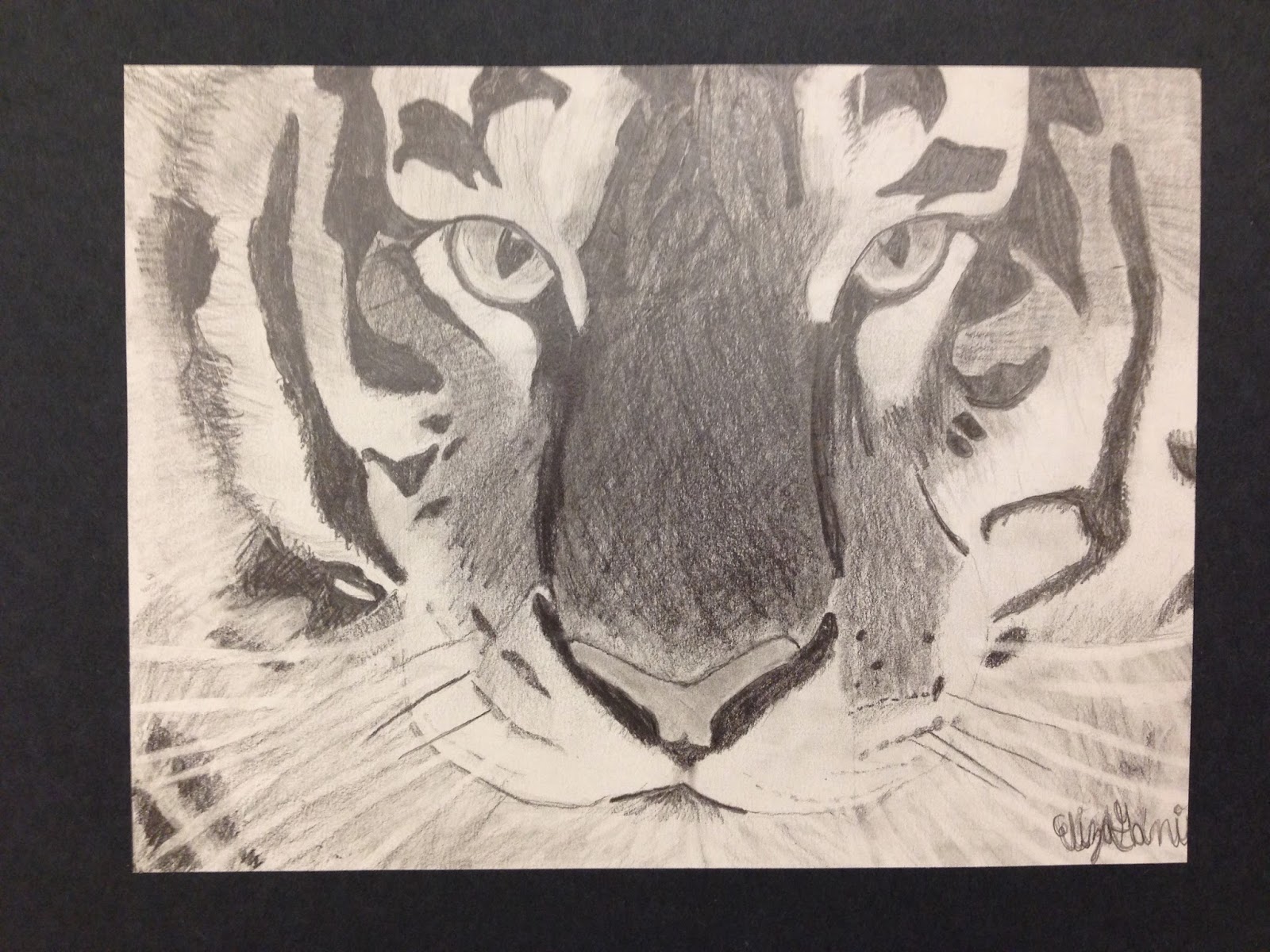 Art Alley: Drawing Rendering: 7th Graders Learn to See