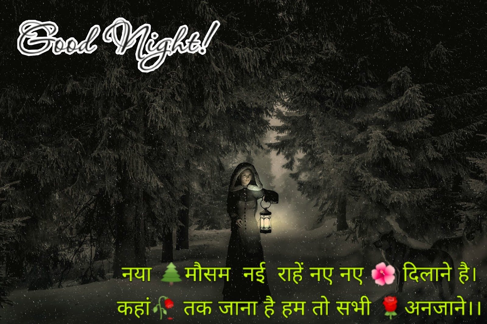 Good night photos shayari