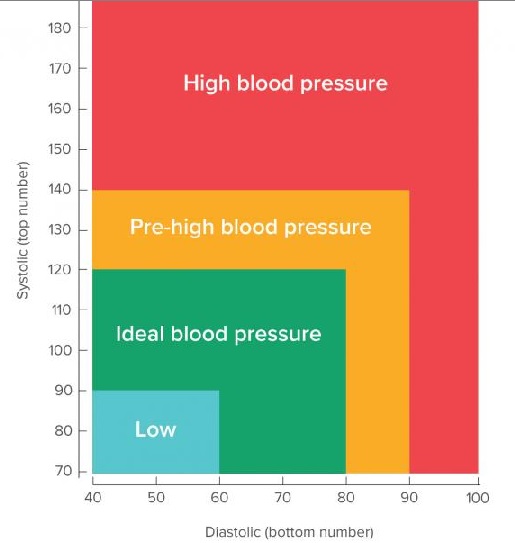 Homeopathy for Wellness