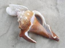 lakeside lessons: The Despair to Prayer Chronicles - Part 5