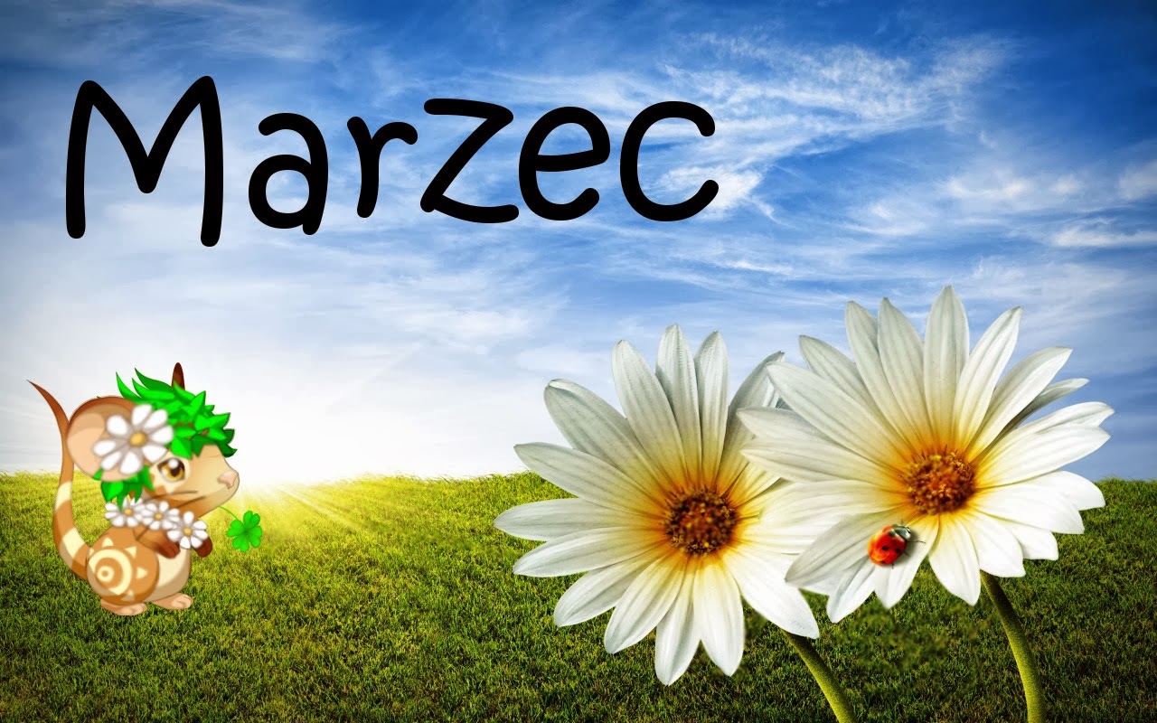 Dragon Mice Champions: March 2014