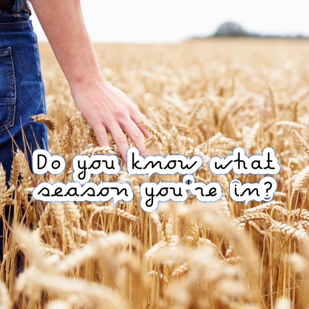 The Unlikely Vessel: DO YOU KNOW WHAT SEASON YOU'RE IN?